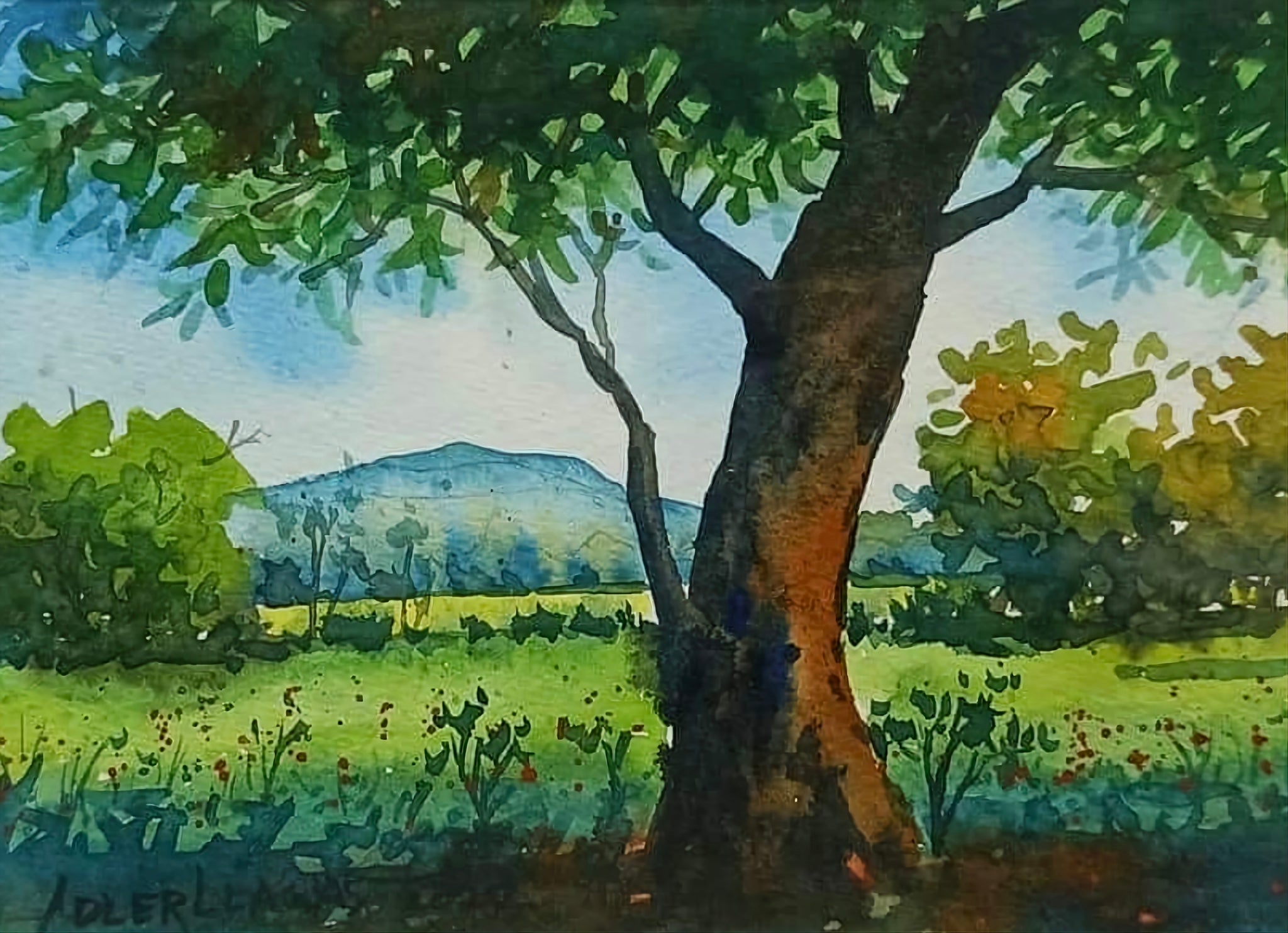 Let us know abour your query!