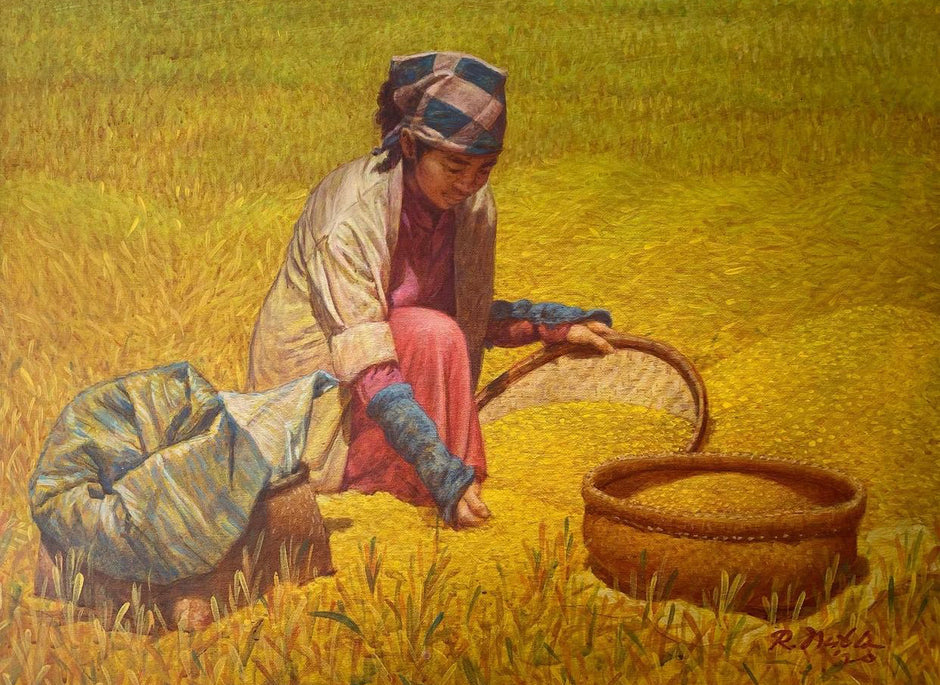 Rice Harvest