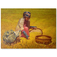 Rice Harvest