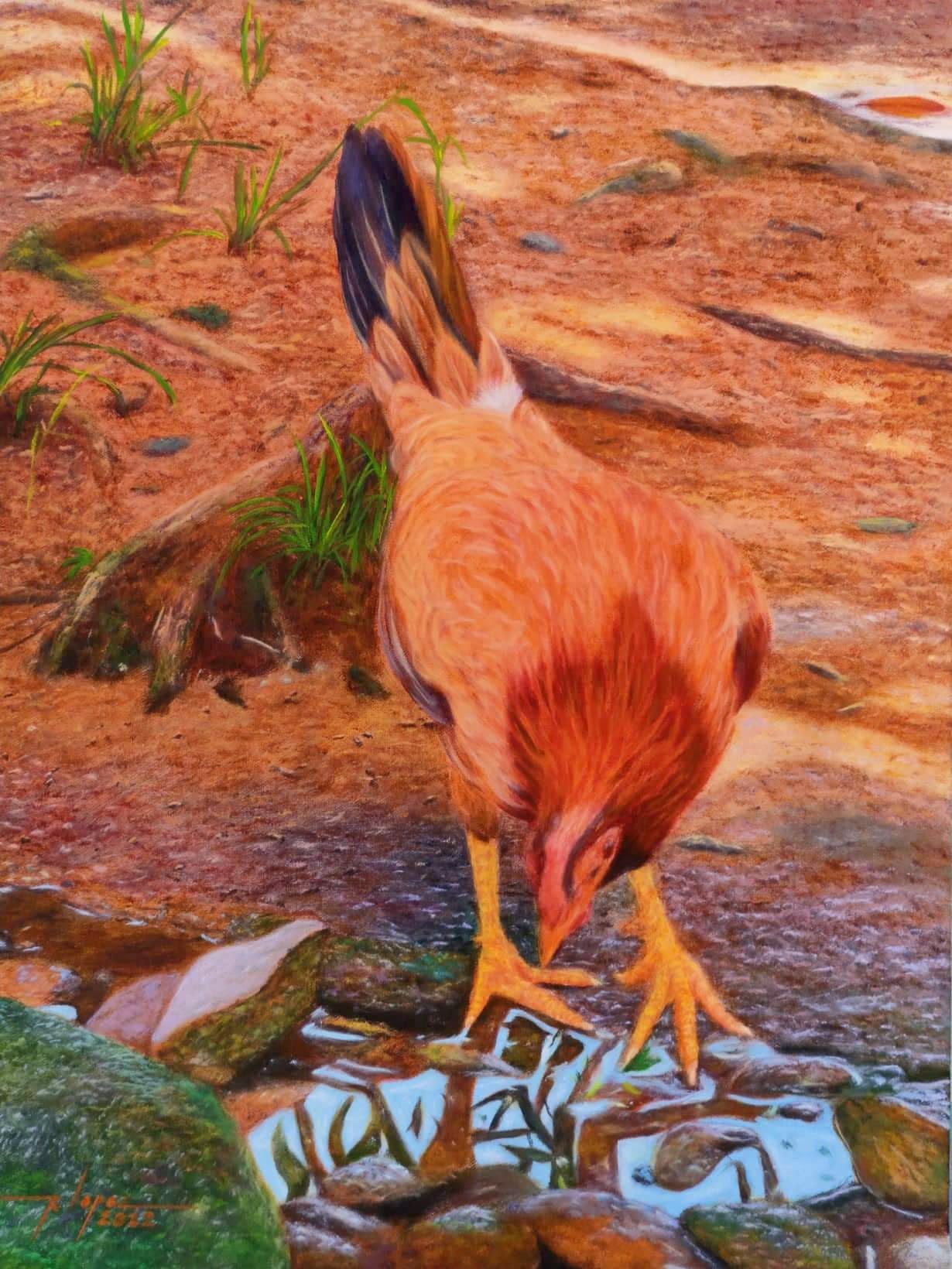 Manok sa Batuhan